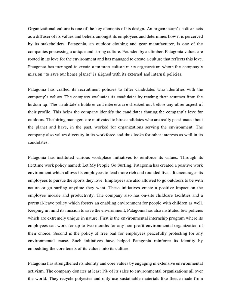 Patagonia | PDF | Organizational Culture | Behavioural Sciences