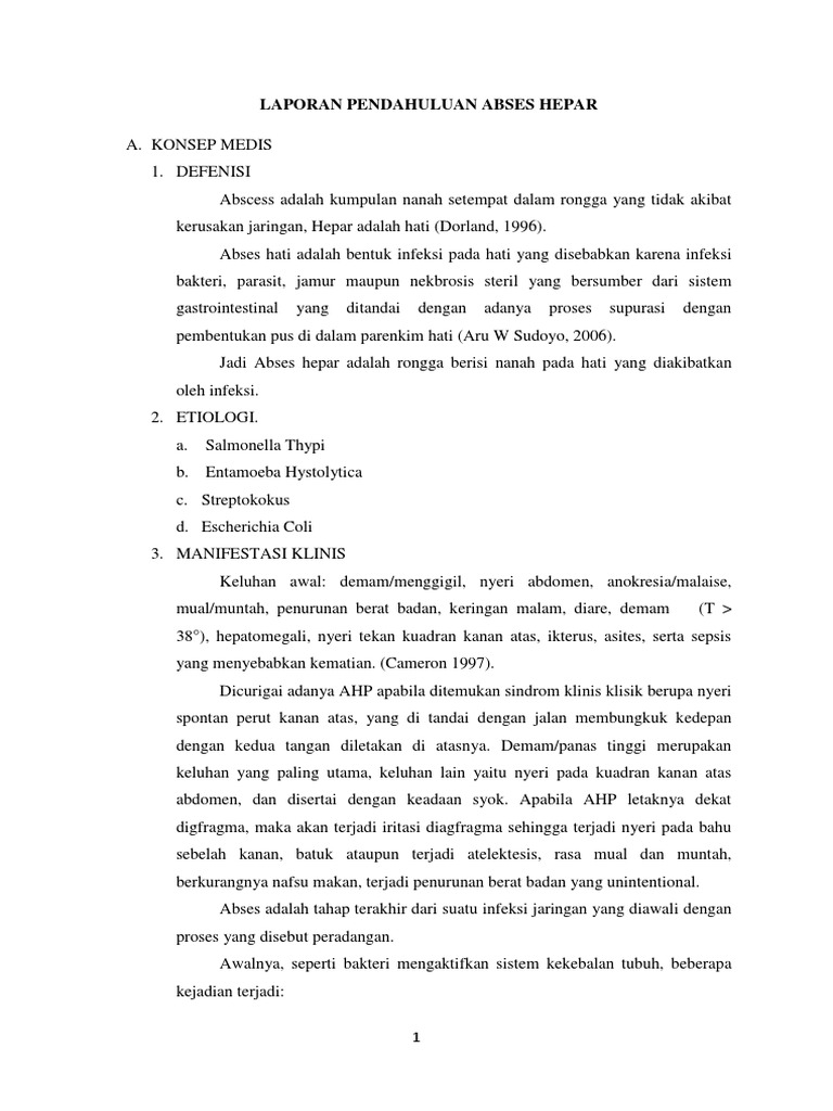 LP Cempaka Abses Hepar | PDF