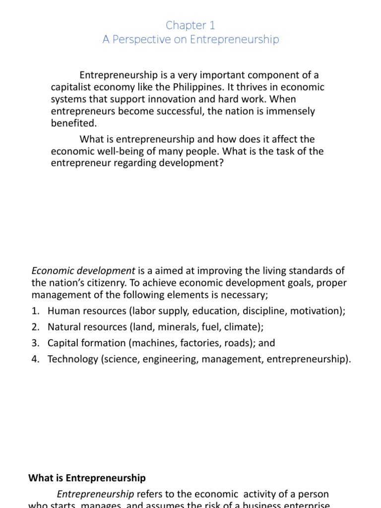Understanding Entrepreneurship: A Perspective on the Role, Functions ...