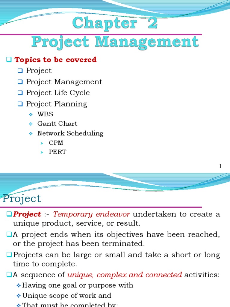 Chapter 2-Project Management | PDF | Project Management | Projects