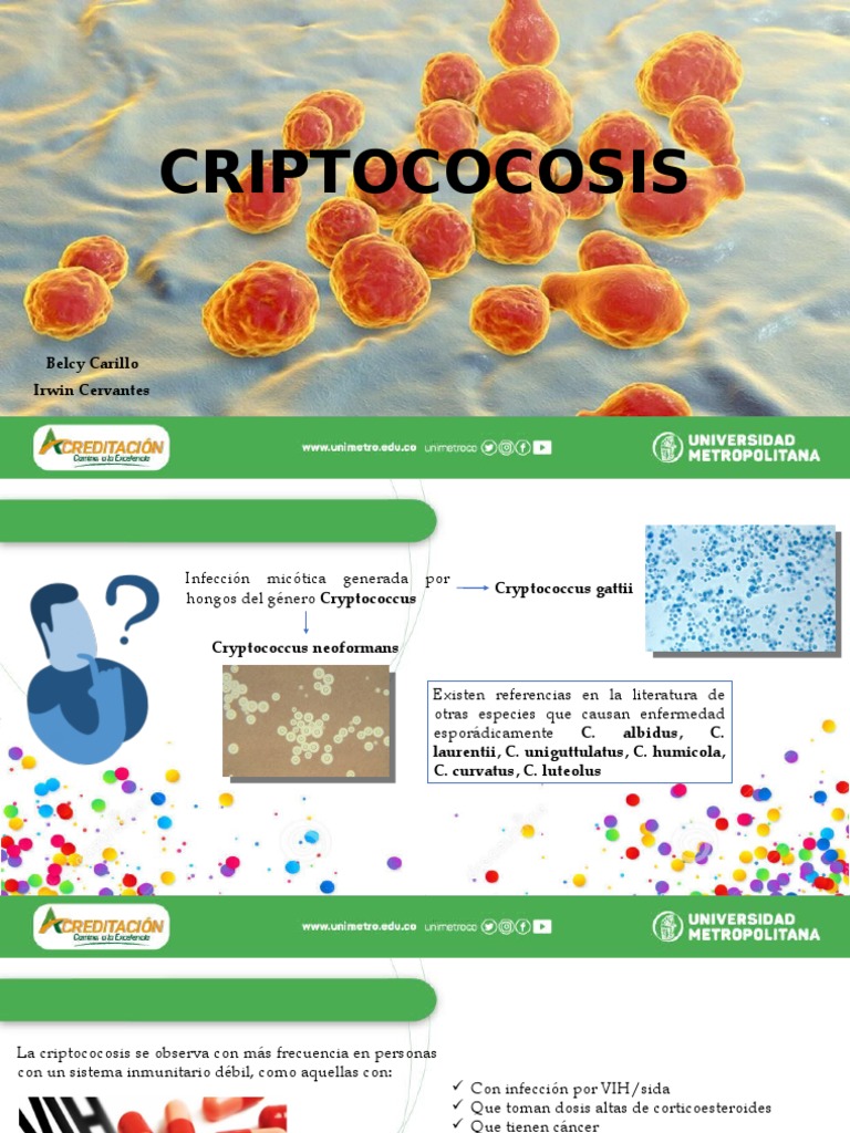 Criptococosis: Infección y Diagnóstico | PDF | Epidemiología ...