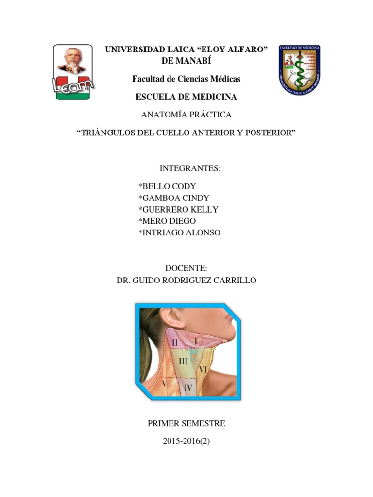 Triã - Ngulos Del Cuello | PDF | Cabeza y cuello humanos | Anatomía humana