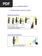 Metodo Rula Excel | PDF | Sistema musculoesquelético | Anatomía humana
