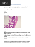 Histology of Git | PDF | Epithelium | Human Digestive System