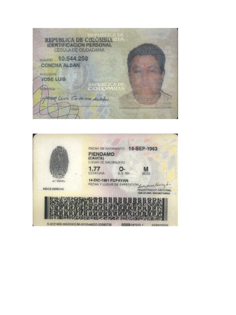 Cedula José Luis | PDF