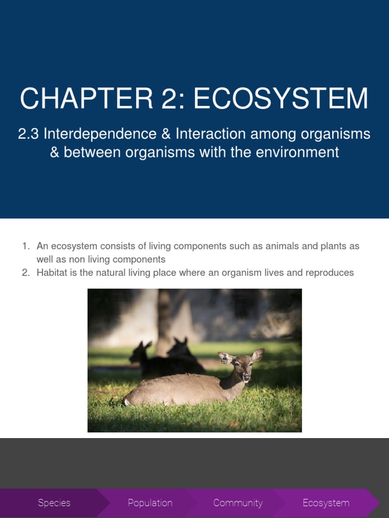 CHAPTER 2 - ECOSYSTEM (Cont) | PDF | Predation | Biological Pest Control