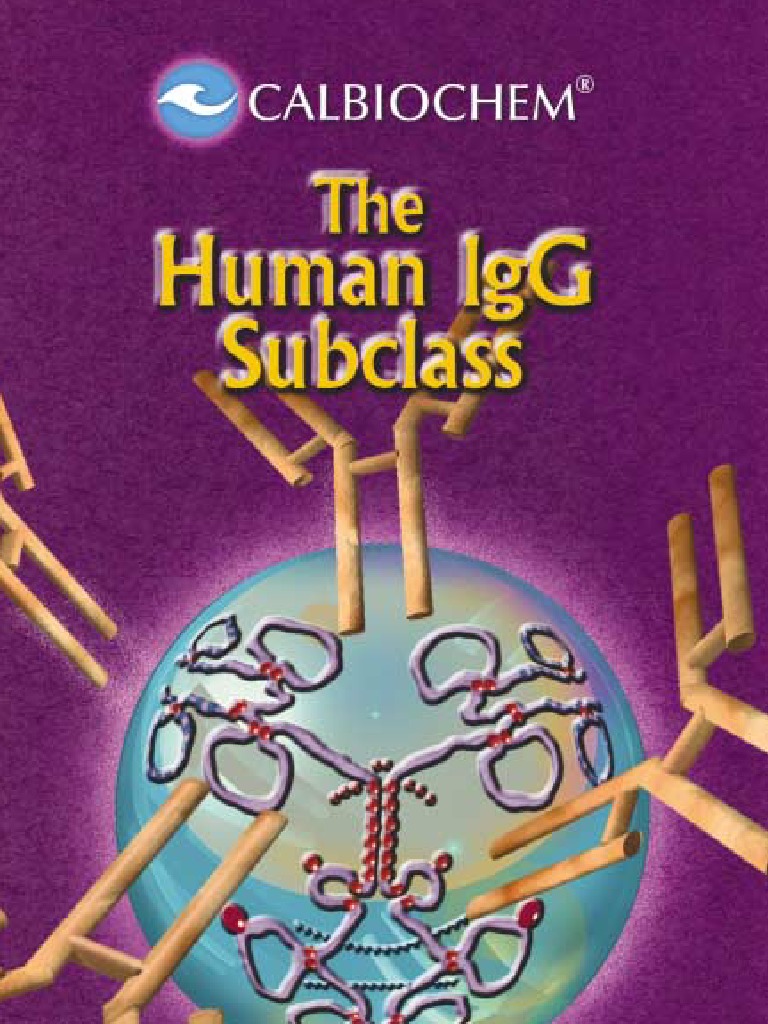 Cal Bio Chem Human IgG Booklet CB0051 | PDF | Immunoglobulin G | Antibody