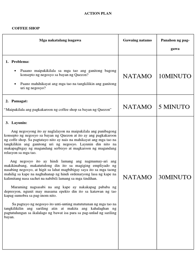 Action Plan | PDF