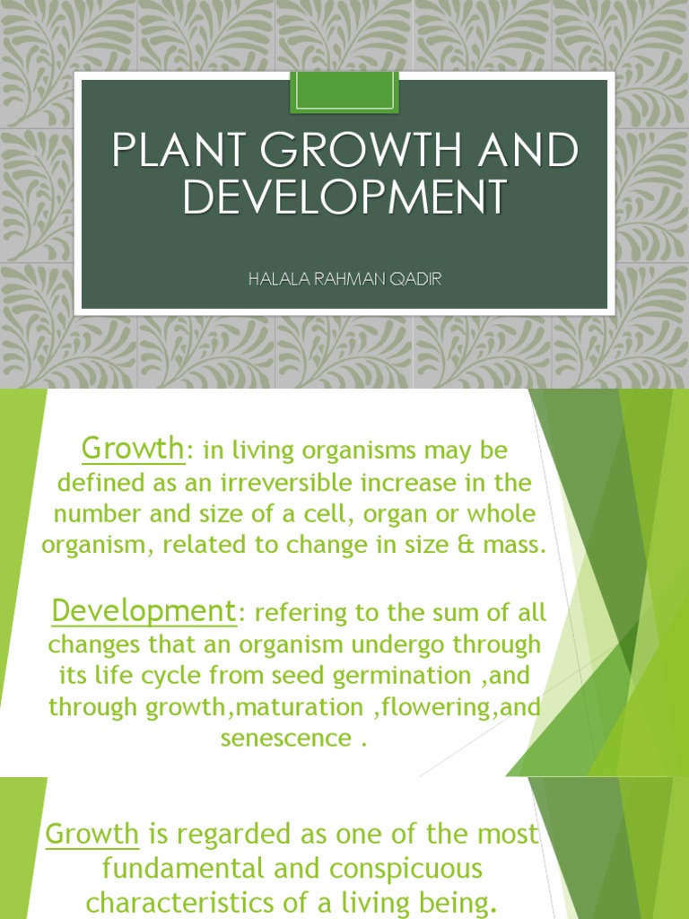 Plant Growth and Development. Botany. Final | PDF | Plant Hormone | Soil