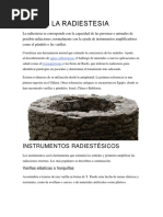 Las Varillas Radiestésicas | PDF | Radiestesia | Science