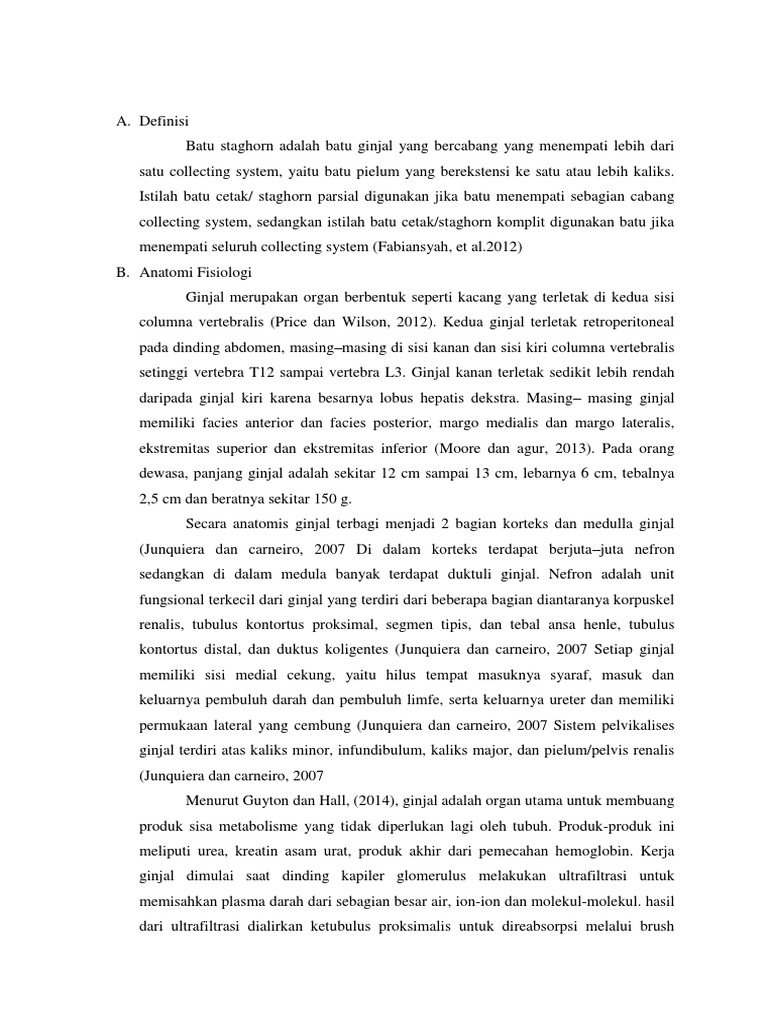 Batu Staghorn: Definisi dan Etiologi | PDF