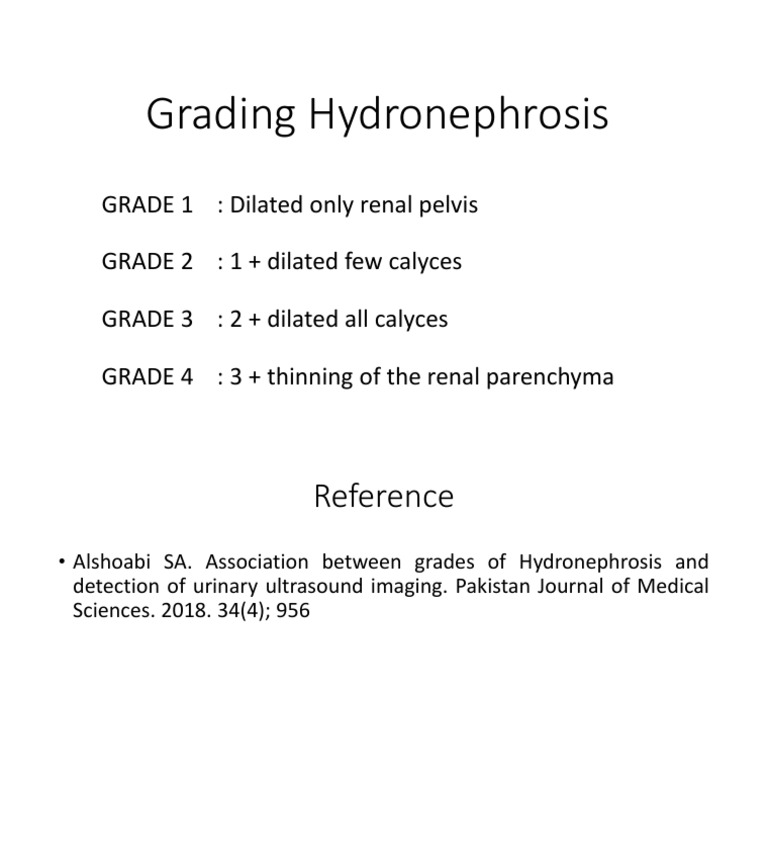 Hydronephrosis Grading Guide | PDF | Social Science | Wellness