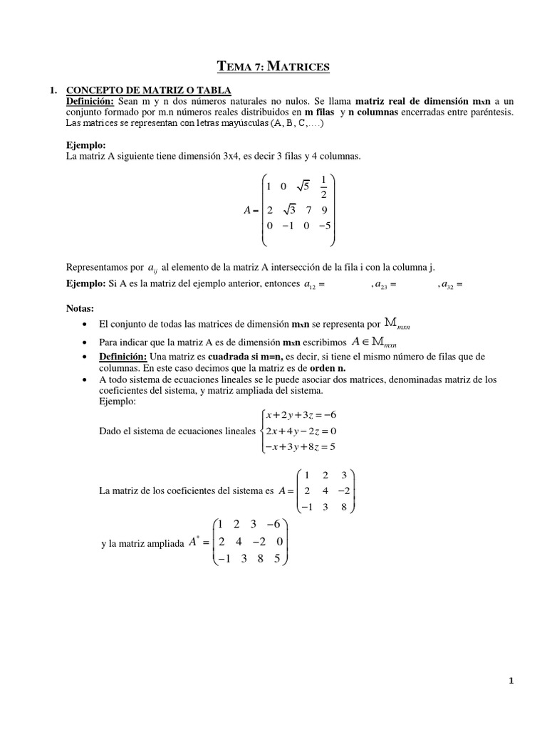 Matrices | PDF | Matriz (Matemáticas) | Funciones y mapeos