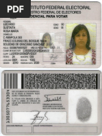 Nueva Plantilla Ine | PDF | Politica de mexico | Elecciones