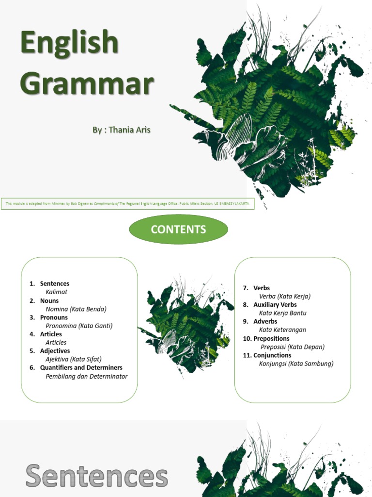 Basic English Grammar | PDF | Verb | Pronoun