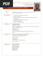 Ejemplo Cv. | PDF | Soporte técnico | Business