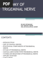 Structures Passing Through The Foramens of Skull | PDF | Human Head And ...