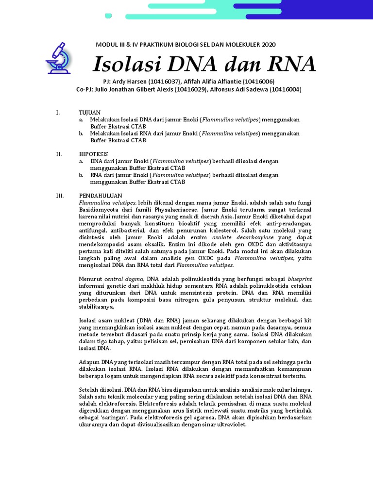 Modul 3 & 4 Isolasi DNA Dan RNA Jamur Enoki | PDF