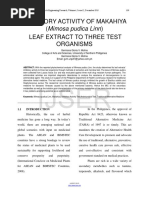 Understanding LPO and HPO in Microscopy | PDF | Microscope | Optics