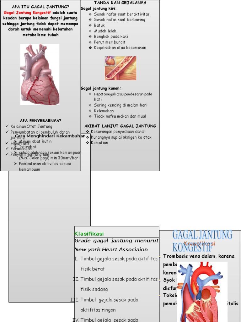 Leaflet Penkes Gagal Jantung | PDF