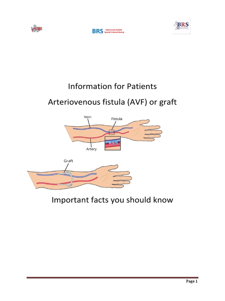 Information For Patients AVF and Graft BRS Final PDF | PDF ...