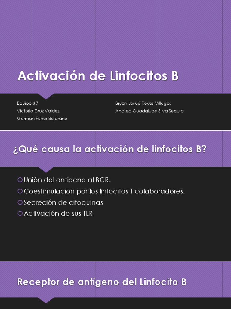Activación de Linfocitos B | PDF | Célula T | Célula B