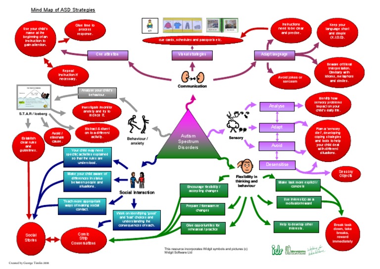 A3 ASD Mind Map | PDF | Autism Spectrum | Perception