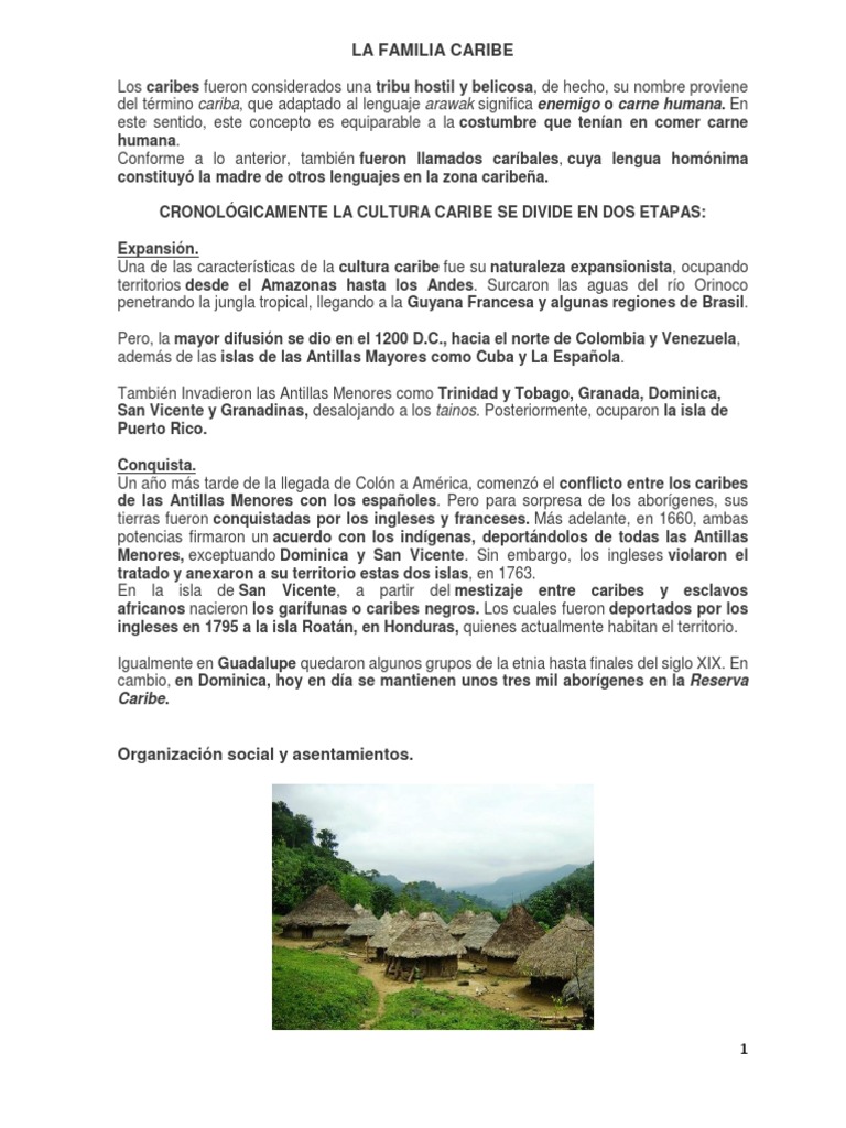 Organización Social de los Caribes | PDF | Pueblos Indígenas de las ...