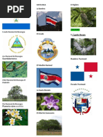 Asocie Simbolos Nacionalesde Costa Rica | PDF