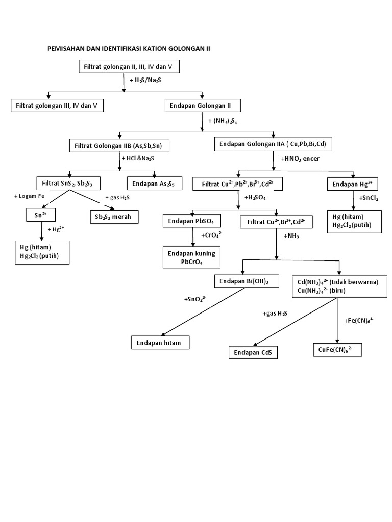 Diagram Alir Pemsahan &identifikasi Kation | PDF