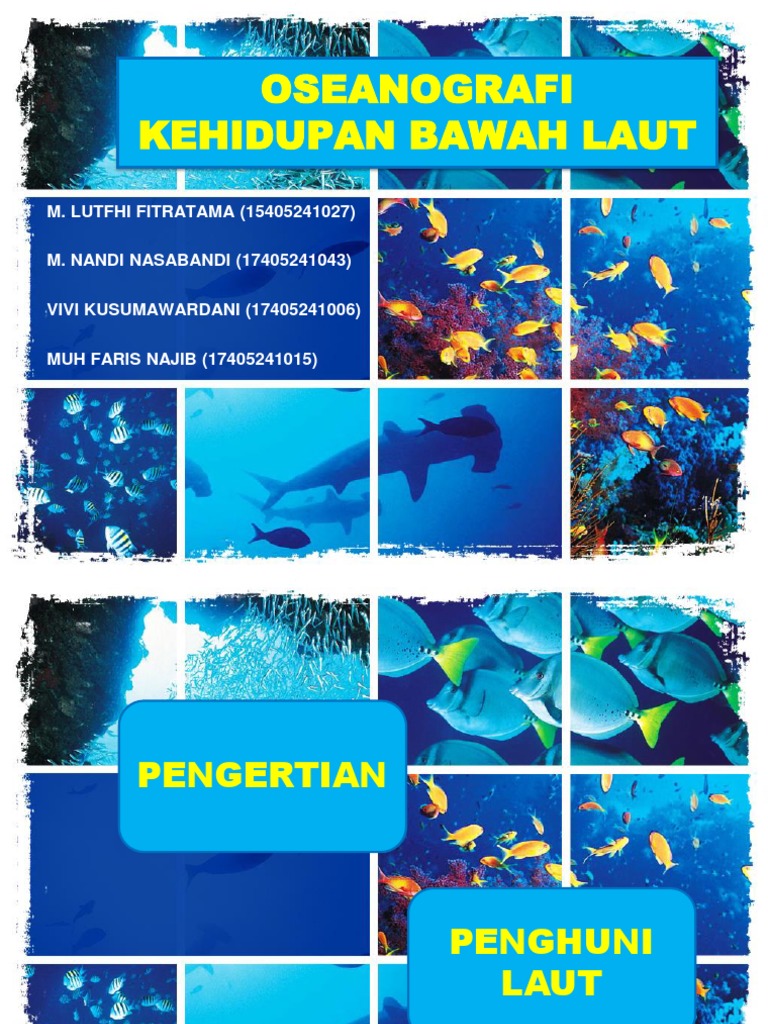 Biota Laut: Plankton, Nekton, Bentos | PDF | Sains & Matematika
