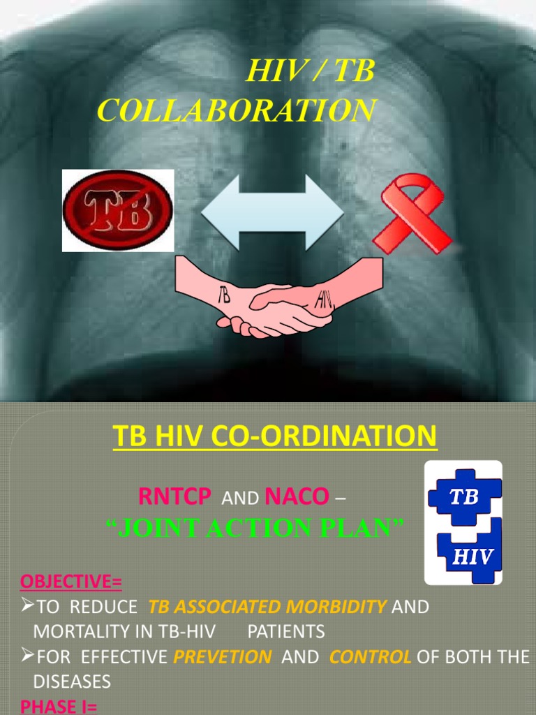 HIV-TB Joint Action Plan Overview | PDF | Tuberculosis | Animal Diseases