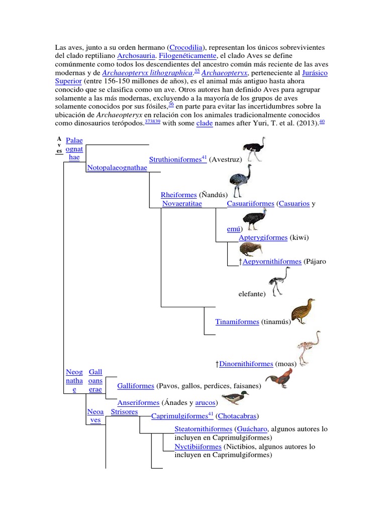 Evolución y Diversidad de las Aves | PDF | Dinosauriformes | Arqueología