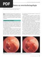 Escala de Boston | PDF | Ciencia y matemáticas