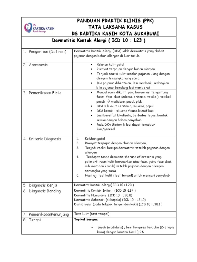 PPK Dermatitis Kontak Alergi | PDF