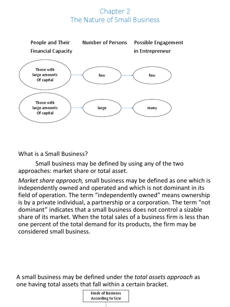 Understanding Small Business Dynamics | PDF | Small Business | Business