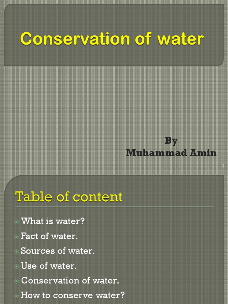 Water Conservation and Usage Guide | PDF | Water Conservation | Irrigation