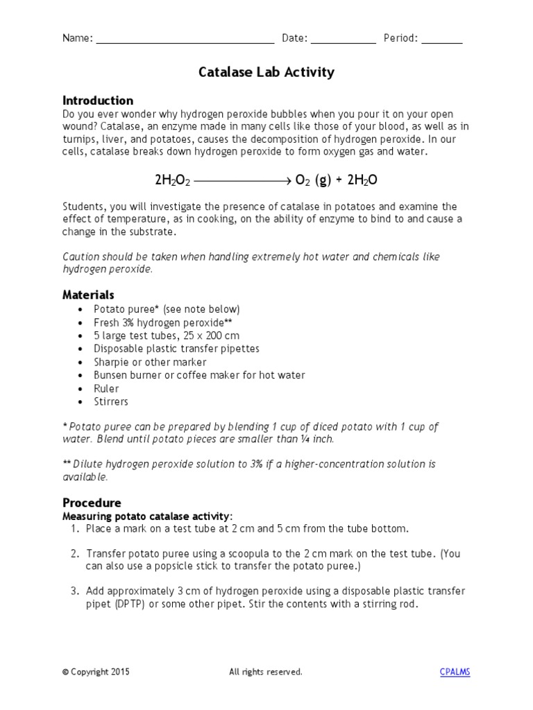 Catalase Lab Activity | PDF | Catalase | Substrate (Chemistry)