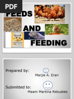 Cobb 500 Breeder Managment Guide | PDF | Beak | Chicken