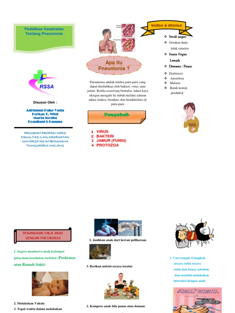 Leaflet Pneumonia | PDF