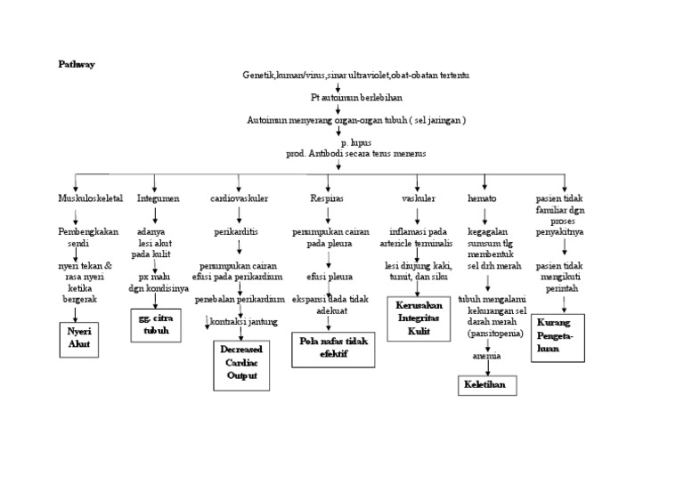 Pathway SLE | PDF
