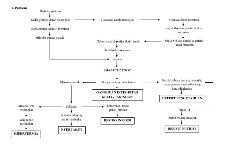Pathway Diabetic Foot | PDF