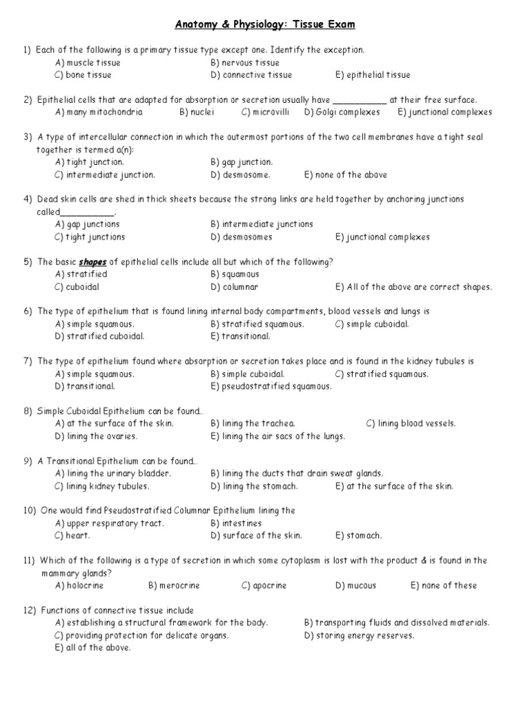 Anatomy & Physiology: Identifying Tissues Through a Comprehensive Exam ...