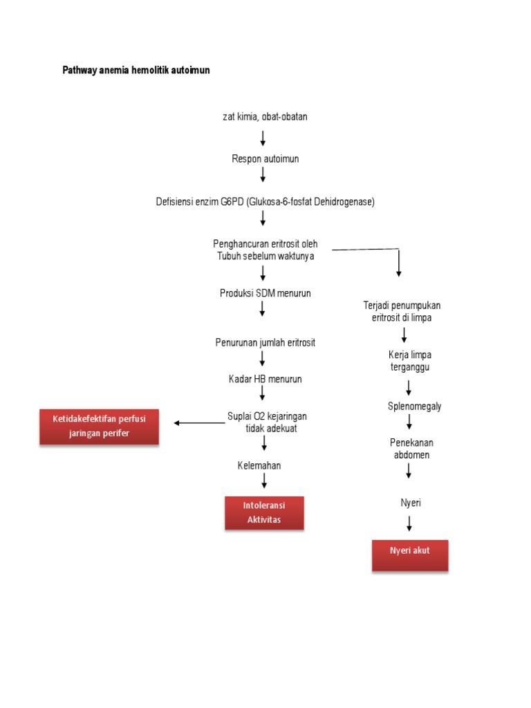 Pathway Anemia Hemolitik Autoimun | PDF