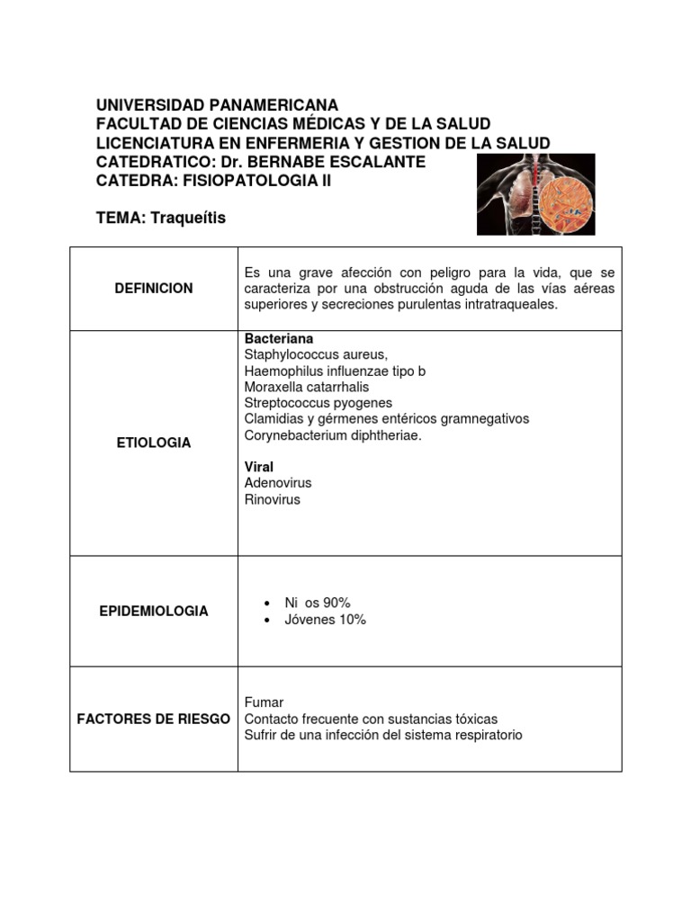 TRAQUEITIS | PDF | Rtt | Enfermedades respiratorias