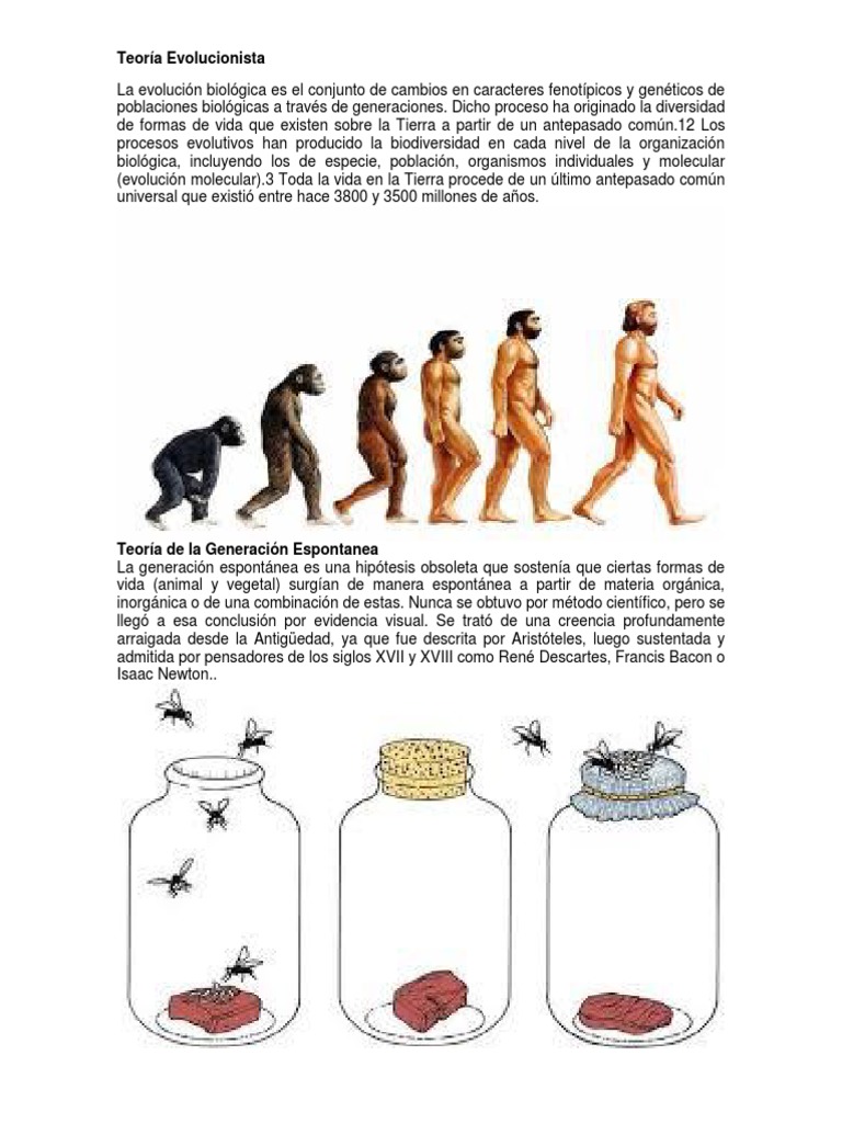 Teoría Evolucionista | PDF | Creacionismo | Epistemología