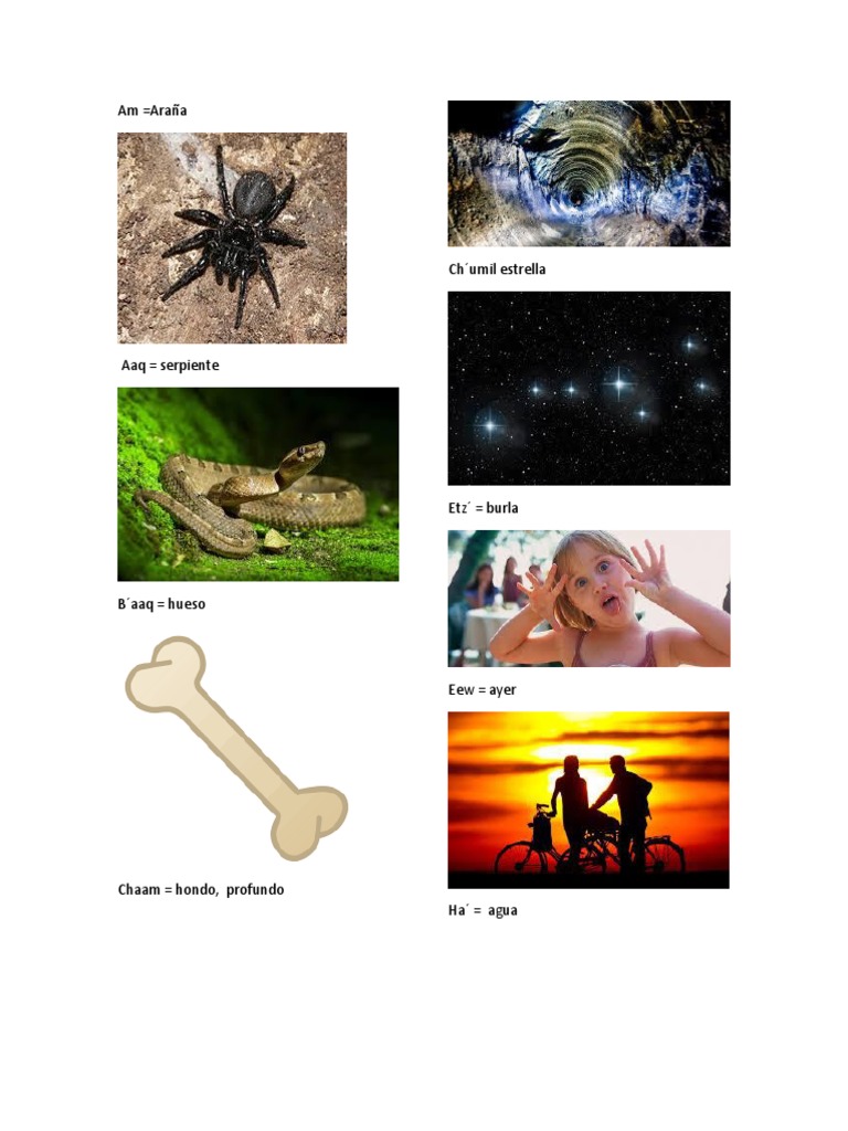 Alfabeto Poqomchi Ilustrado | PDF