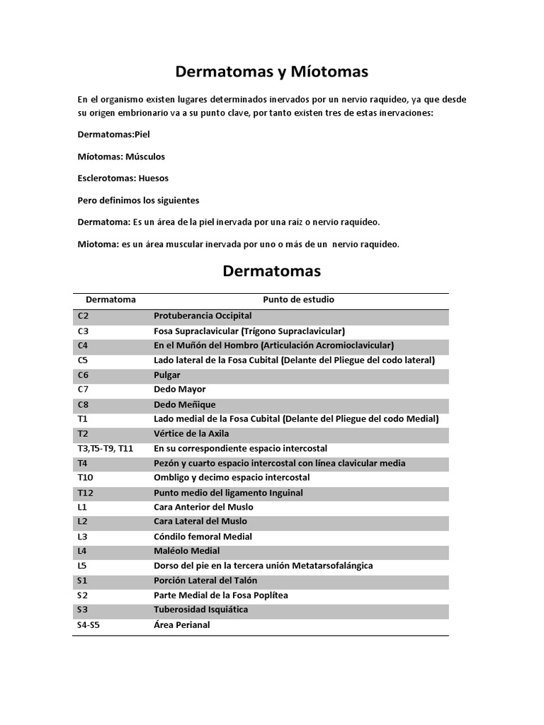 Mapa de Dermatomas y Miotomas | PDF | Codo | Articulaciones