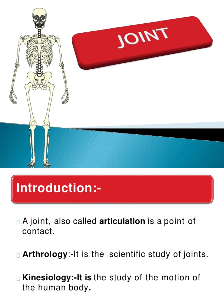 Human Anatomy Joints | PDF | Joint | Cartilage