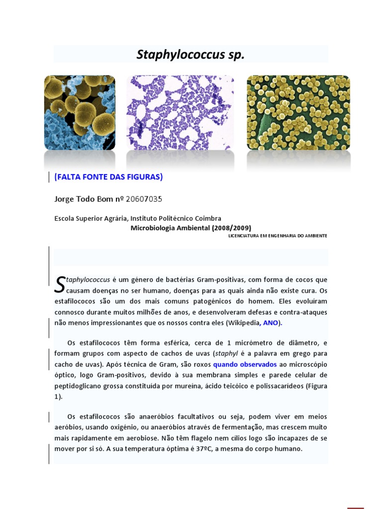 Staphylococcus SP | PDF | Estafilococo | Microbiologia